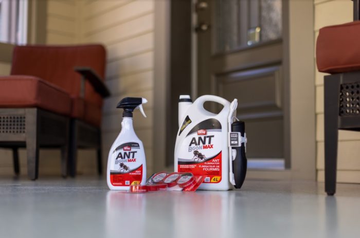 Ortho® Ant B Gon MAX Ant Eliminator - available in two sizes - TERRA ...