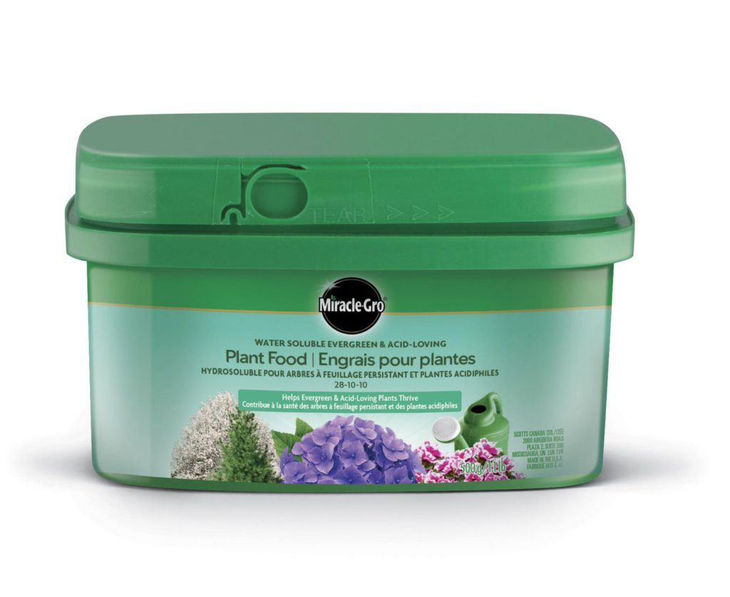 Miracle-Gro® Water Soluble Evergreen & Acid-Loving Plant Food 28-10-10 ...