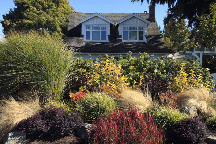 Your Guide To Ornamental Grasses - TERRA Greenhouses