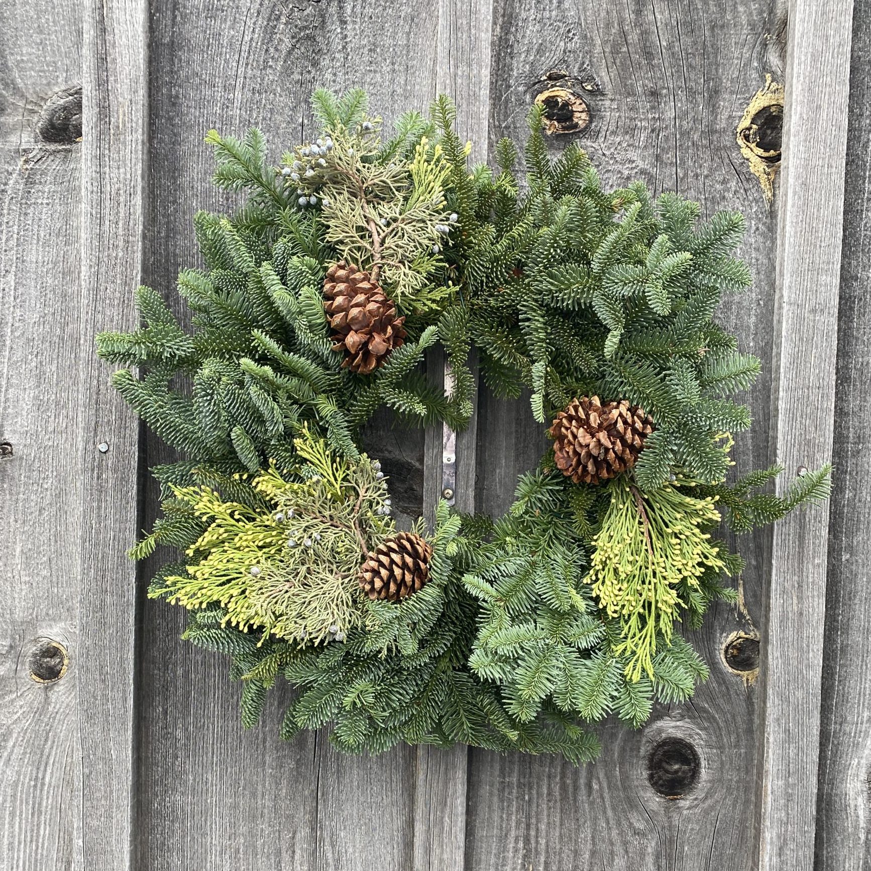 Your Guide to Fresh Cut Greens - TERRA Greenhouses