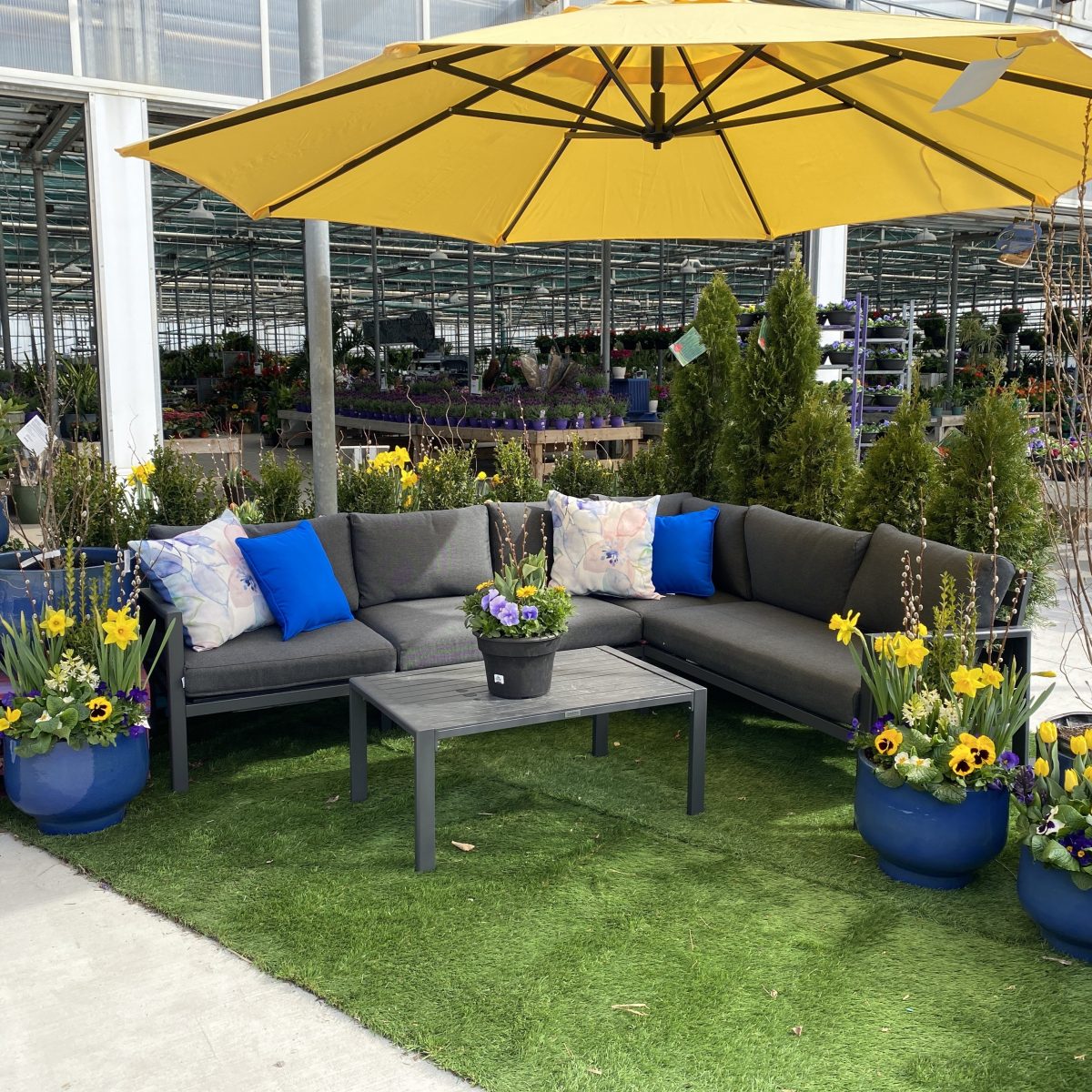 Patio & Outdoor Furniture - TERRA Greenhouses