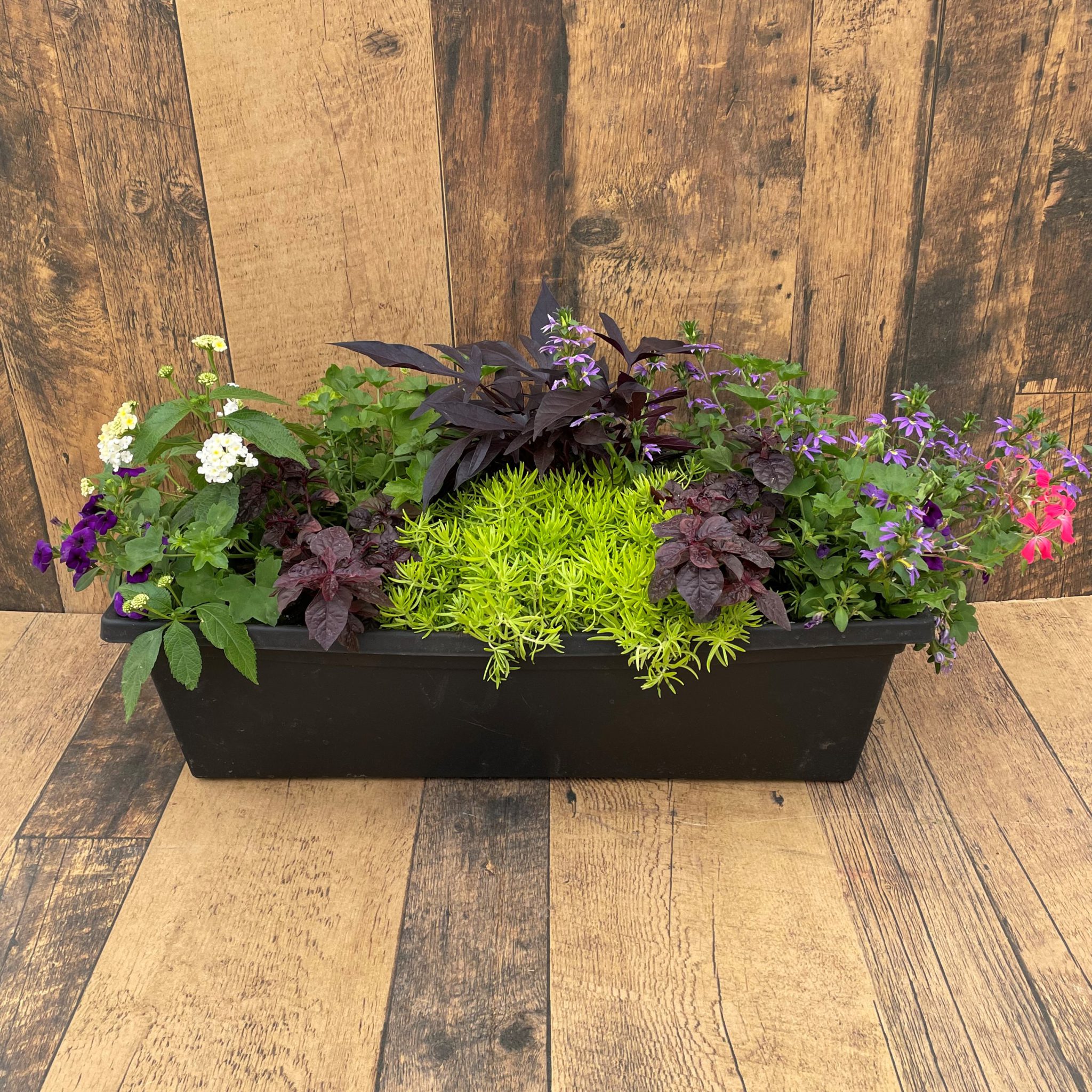 Seasonal Planters - TERRA Greenhouses