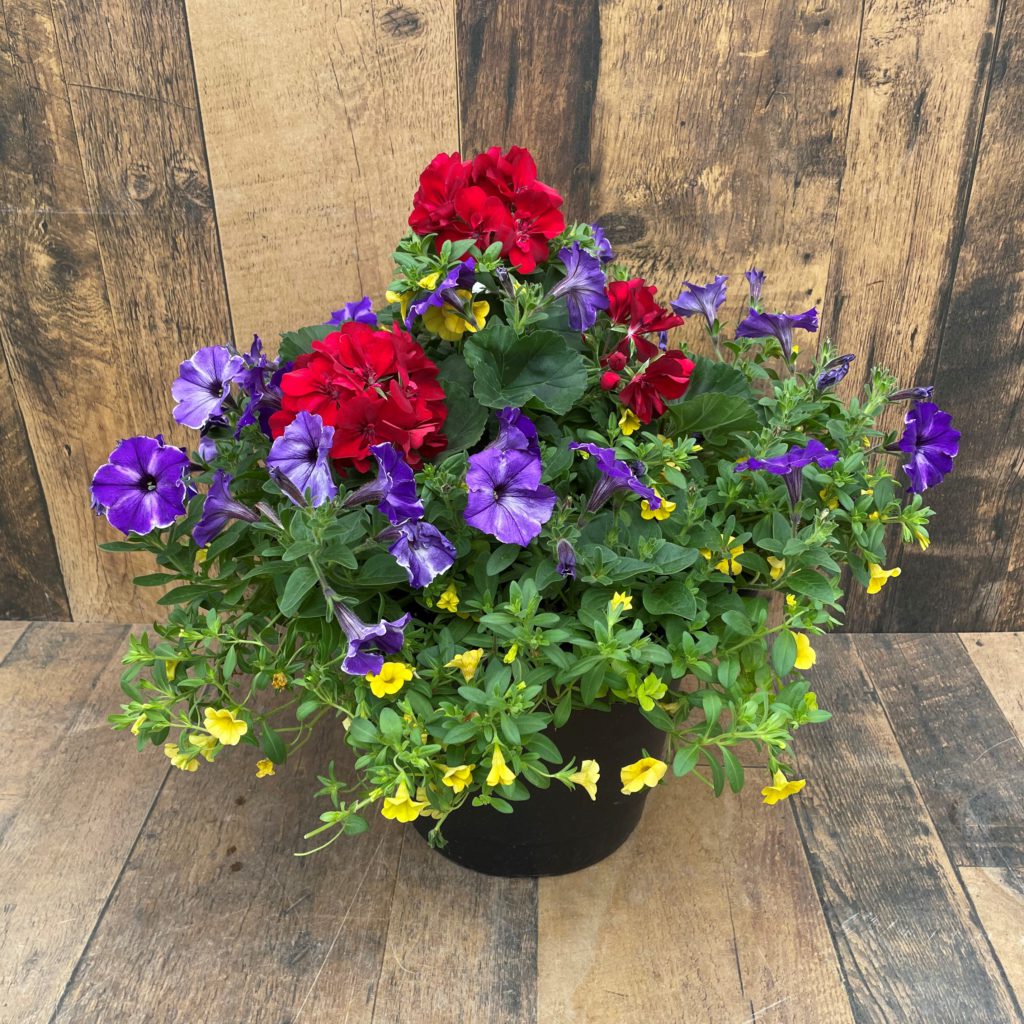 Seasonal Planters Terra Greenhouses