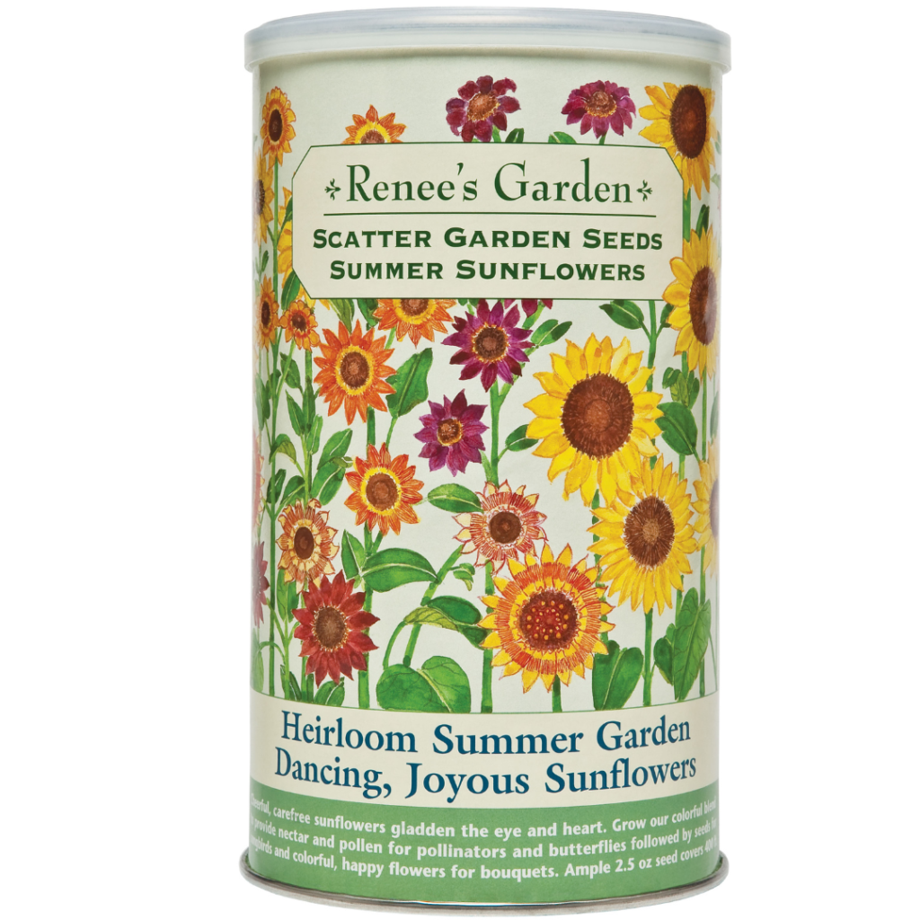 Renee's Garden Scatter Can - Summer Sunflowers - TERRA Greenhouses