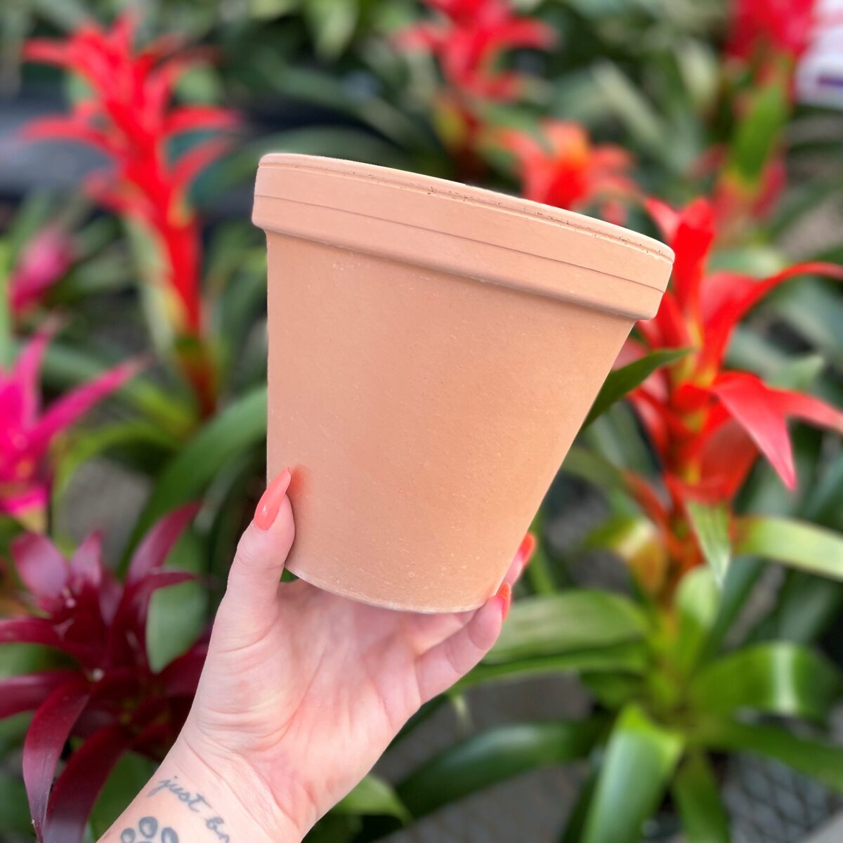 Terracotta Pots - TERRA Greenhouses