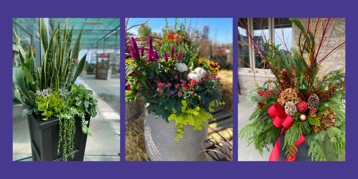 The Plant Studio - TERRA Greenhouses