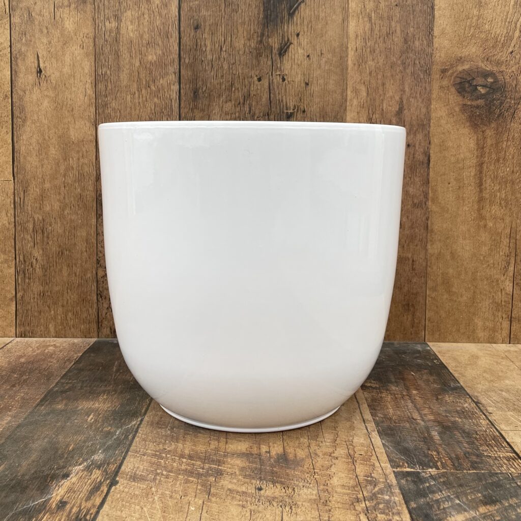 Tusca Pot Round White 10" - TERRA Greenhouses