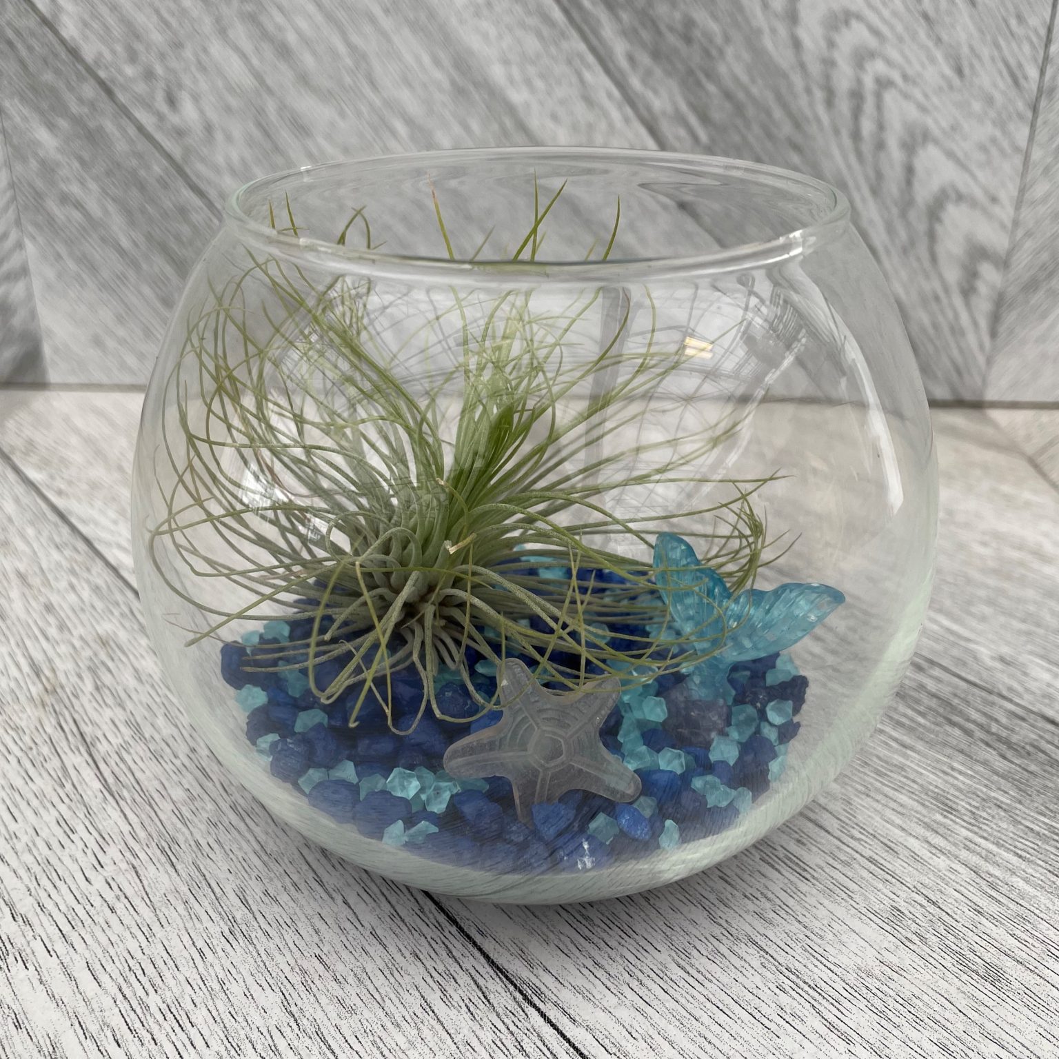 Shop - TERRA Greenhouses