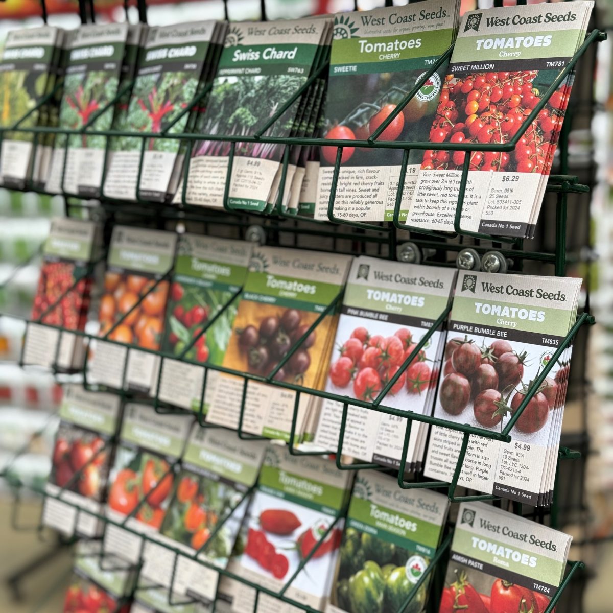 How To Start Seeds At Home - TERRA Greenhouses