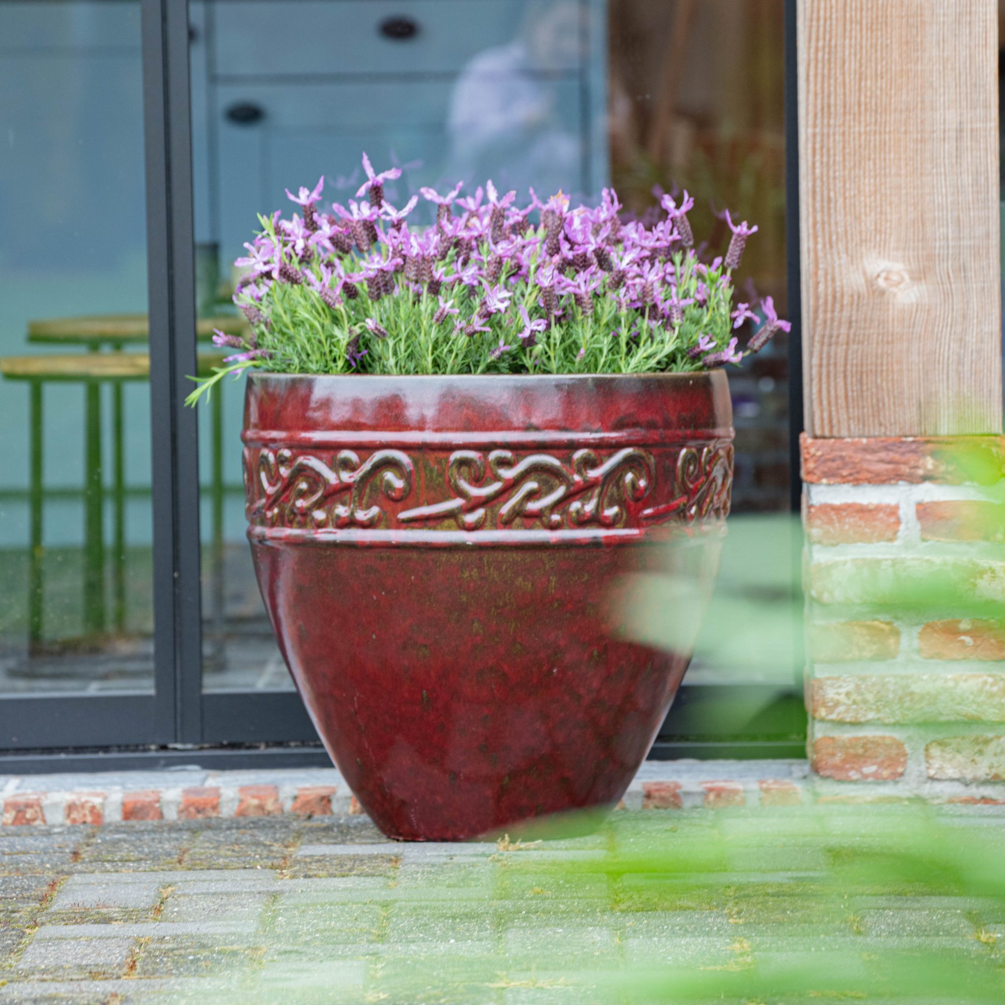Glazed Ceramic Pots Archives - TERRA Greenhouses