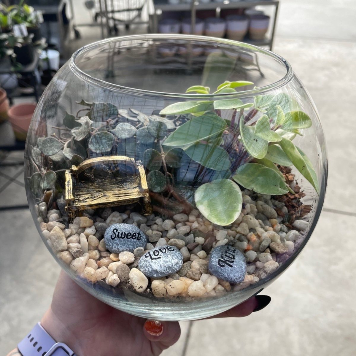 Peaceful Pathway Terrarium - TERRA Greenhouses