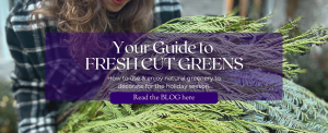 Your Guide to Fresh Cut Greens - TERRA Greenhouses