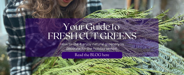 Your Guide to Fresh Cut Greens - TERRA Greenhouses