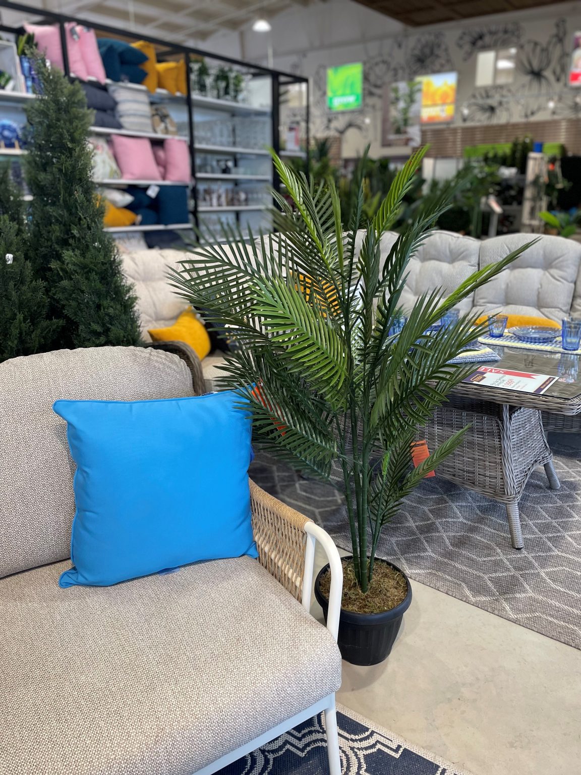 Robellini Palm (Artificial) - TERRA Greenhouses