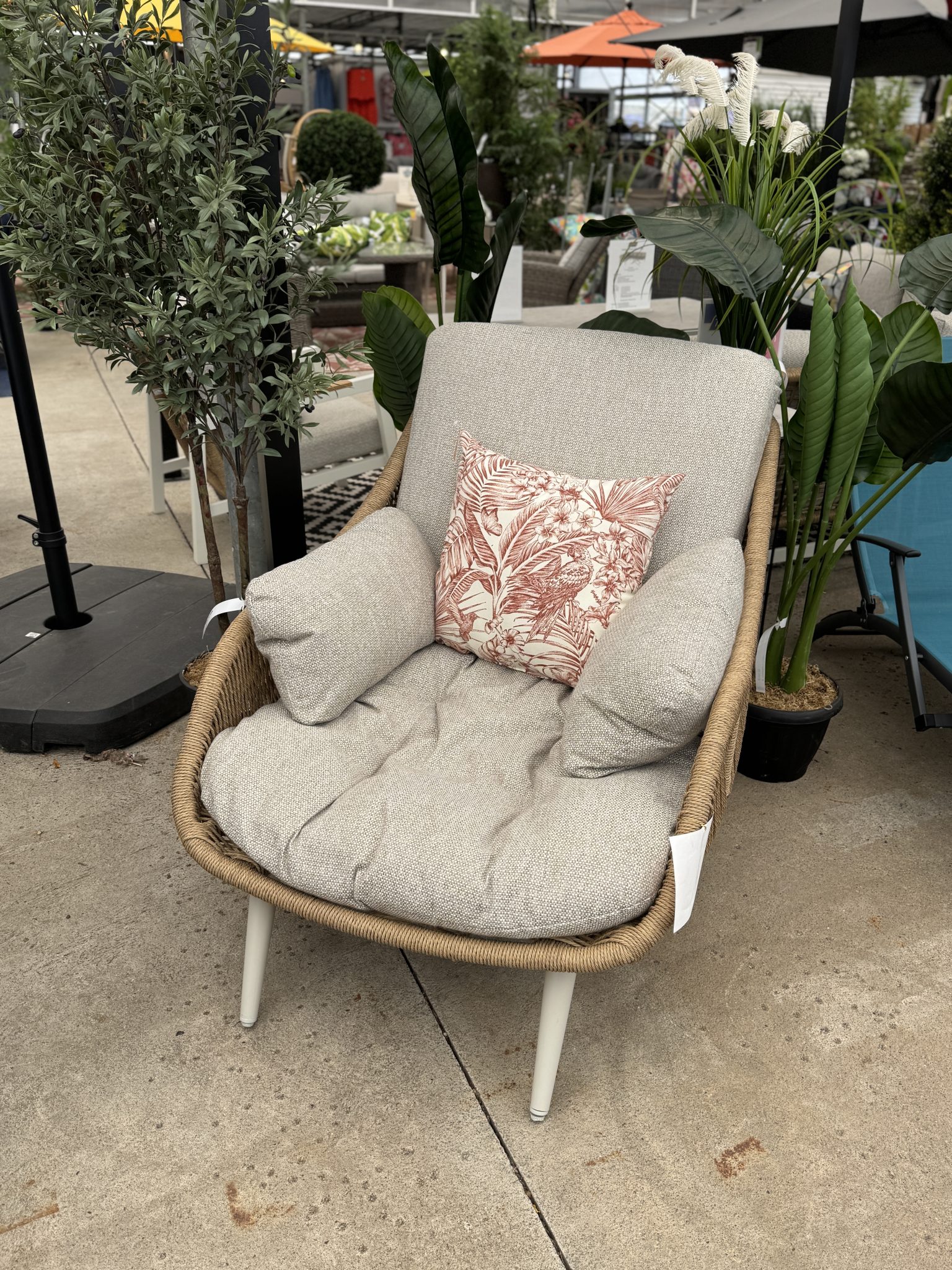 Olivia Big Relax Oversized Chair - TERRA Greenhouses